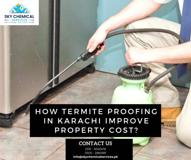 How Termite Proofing in Karachi improve property cost? - Sky Chemicals