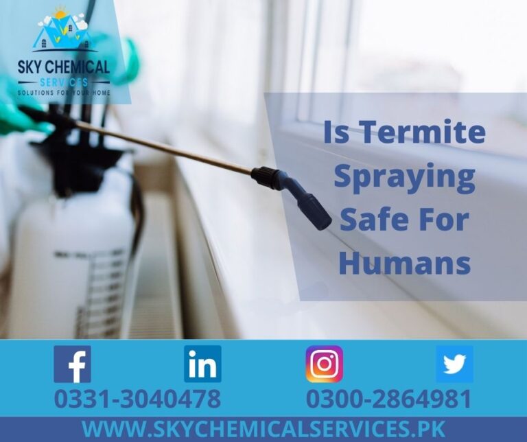 Is Termite Spraying Safe For Humans? - Sky Chemical Services
